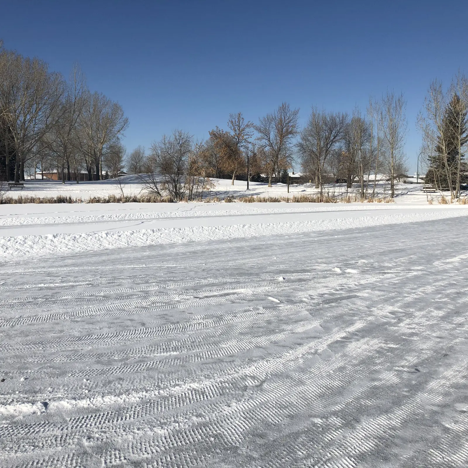 Parks, Leisure & Recreation | City of Lethbridge