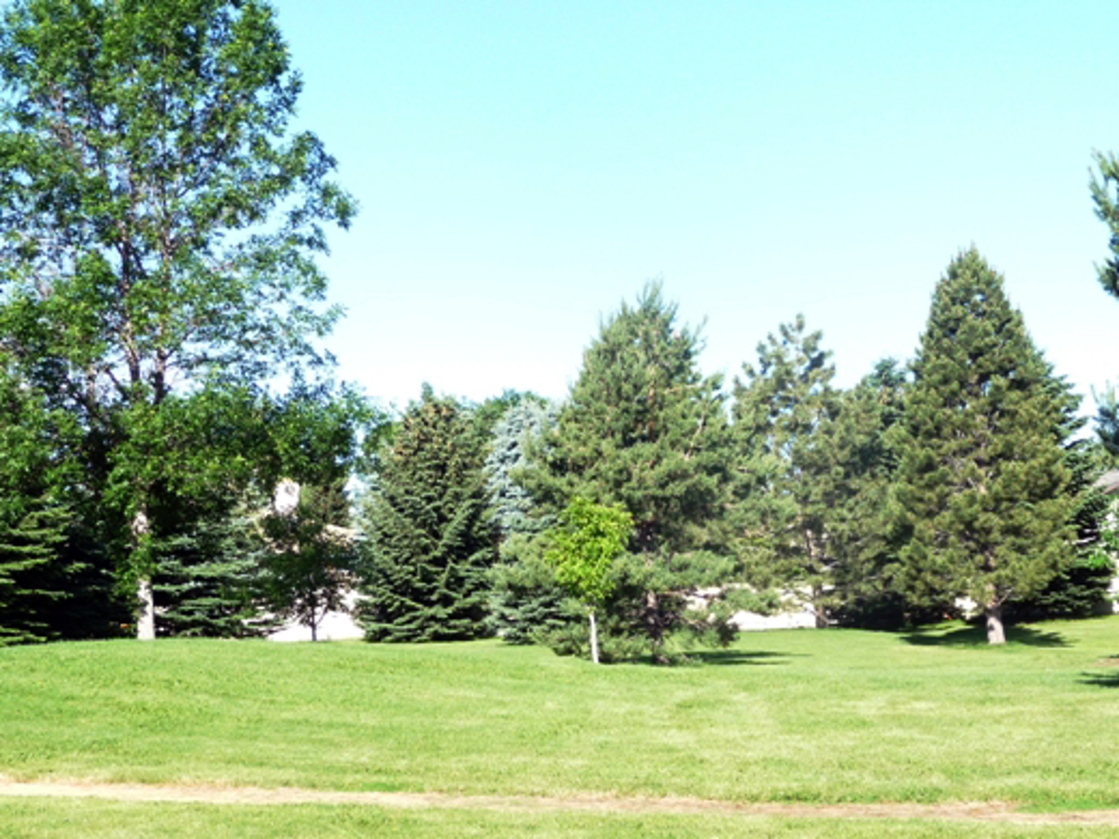 Tudor Park | City of Lethbridge